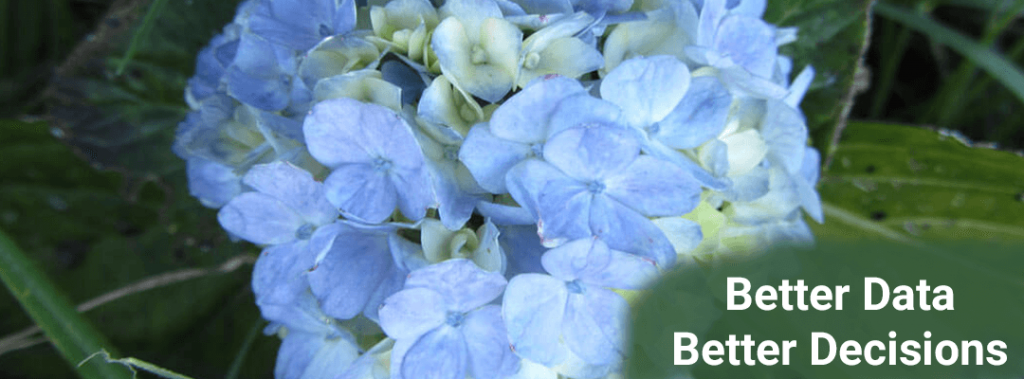 Better Data - Moore Solutions Inc