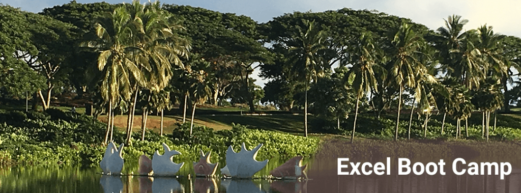 Excel Boot Camp - Moore Solutions Inc